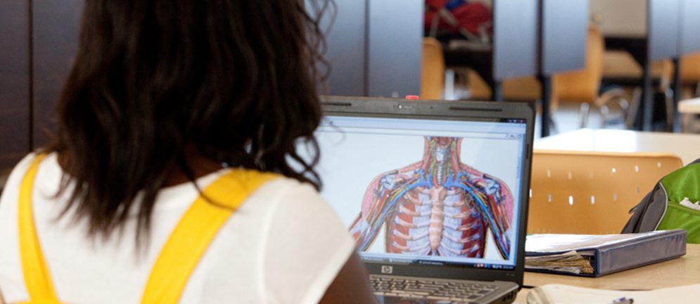 12 Ways to Exercise While You Study | AUA