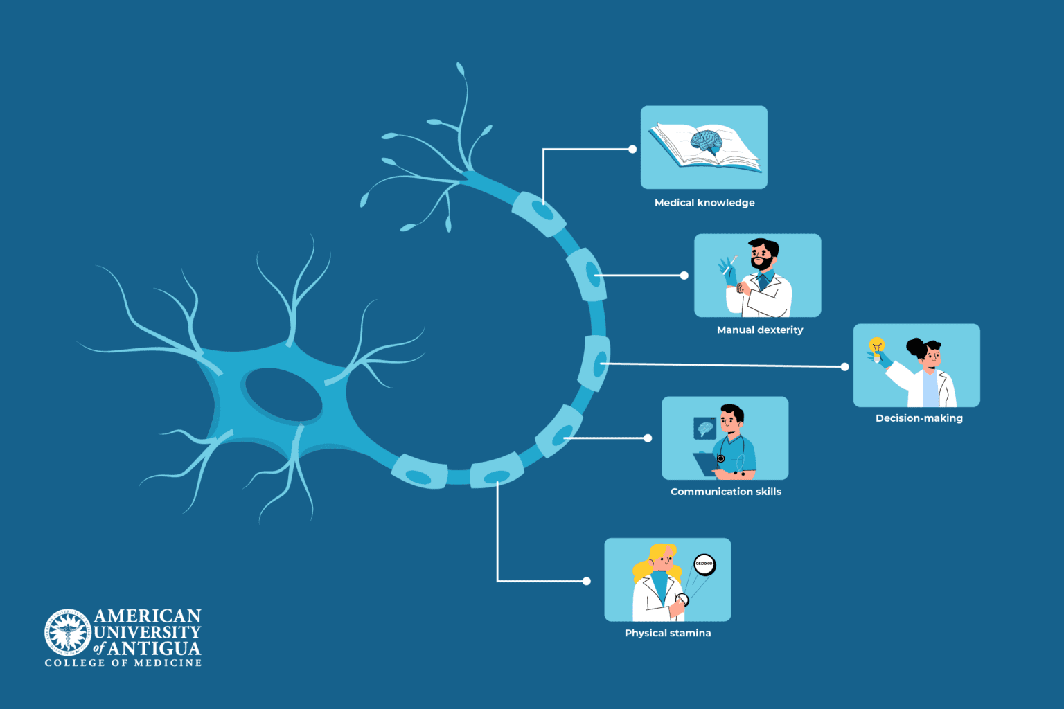 How Long Does It Take To Become a Neurosurgeon? - American University ...