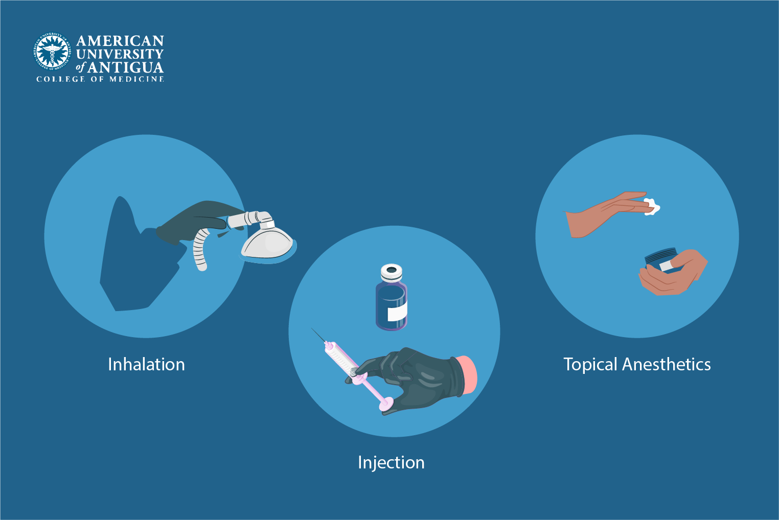 How Does Anesthesia Work? A Detailed Explanation - American University ...