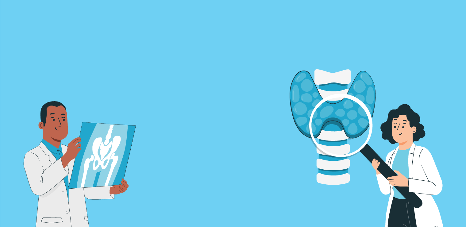 Rheumatologist vs Endocrinologist: Roles, Training, Careers - American ...